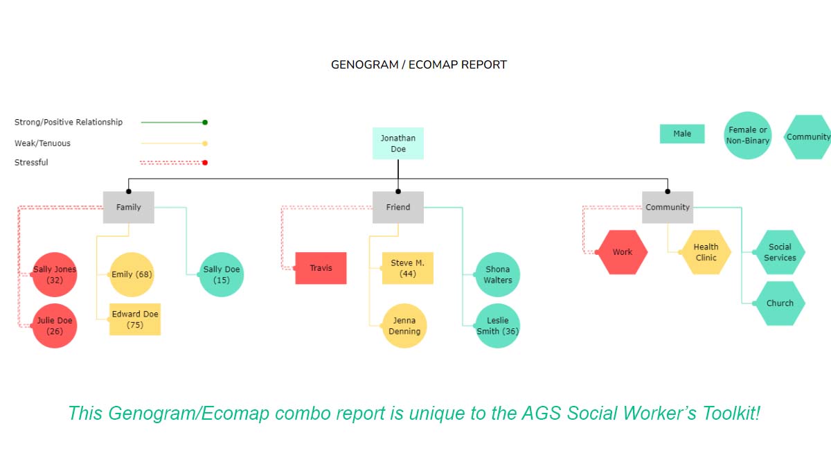 Social work family assessment genogram - polfmicro