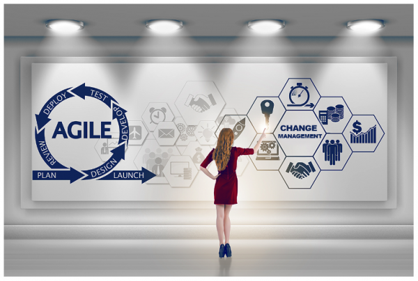 Agile Change Management Framework for Change Mgrs – Processes, Plan ...