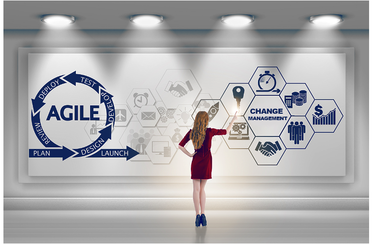 Agile Change Management Framework for Change Mgrs – Processes, Plan ...