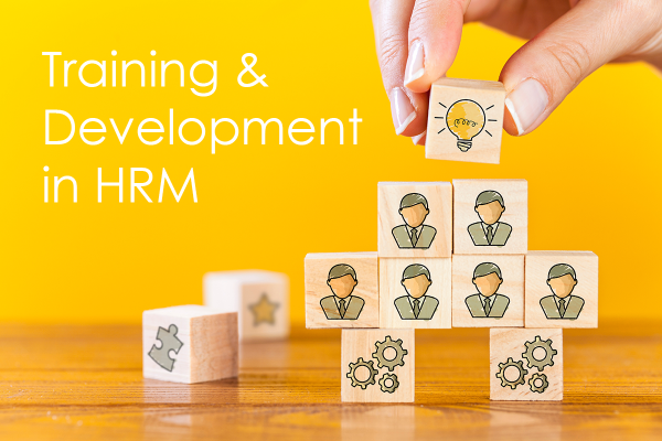 Best 2024 HRM Guide for HRD Training Development, with Templates and ...