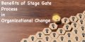 2024 Guide on Stage Gate Process | How to Use Stage Gate Project ...