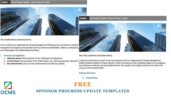Free Executive Sponsor Plan & Guide | Everything You Need – OCM Solution