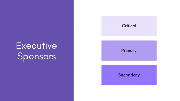 Free Executive Sponsor Plan & Guide | Everything You Need – OCM Solution