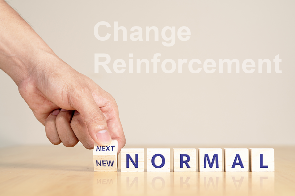 Beyond the Honeymoon Phase: How to Sustain Organizational Change – OCM ...